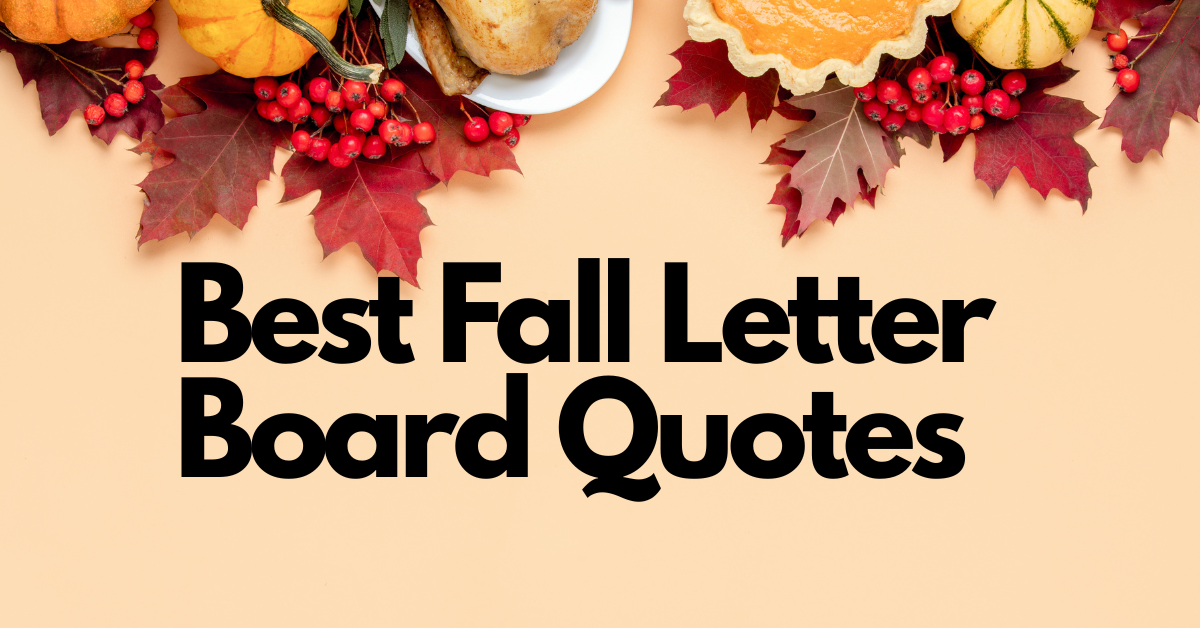 200+ Fall Letter Board Quotes to Celebrate Cozy Season