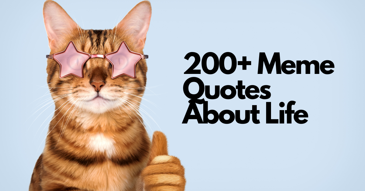 200+ Meme Quotes About Life That Are Way Too Relatable - Marketing Case ...